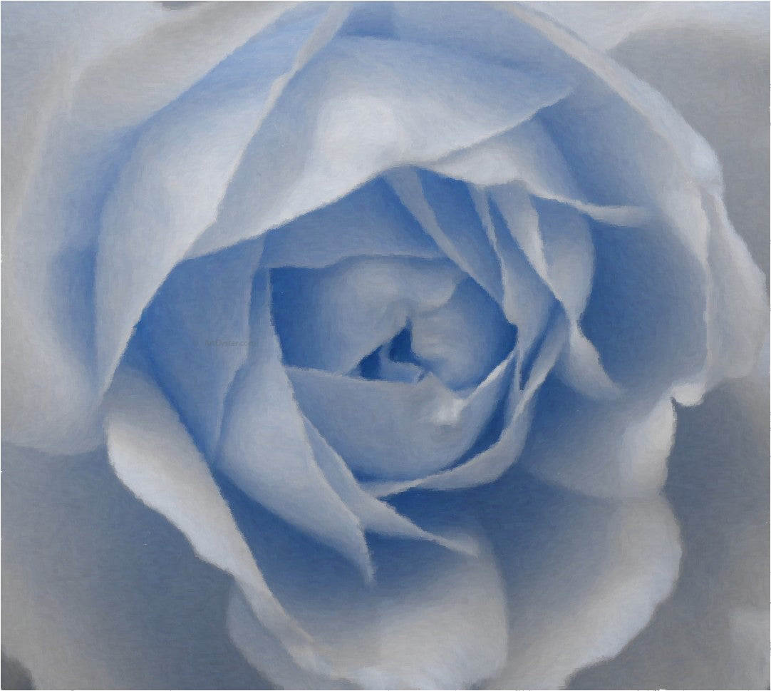 Our Original Collection Baby Blue Rose Art Print – printoyster.com