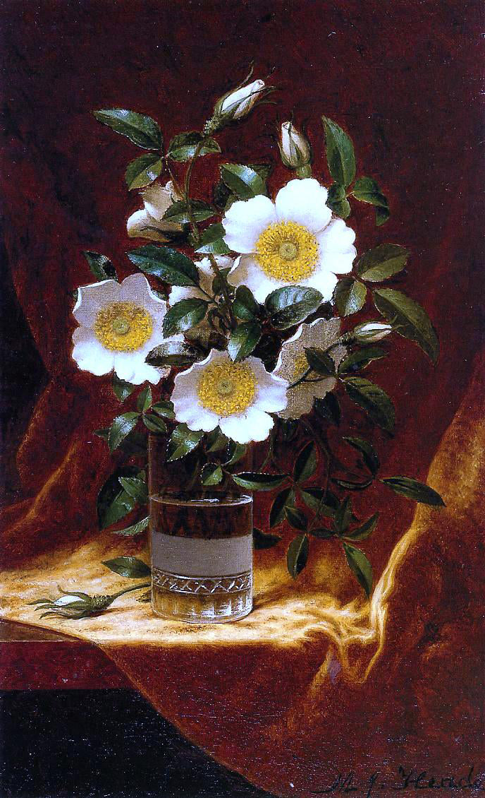 Martin Johnson Heade Cherokee Roses in a Glass Art Print – printoyster.com