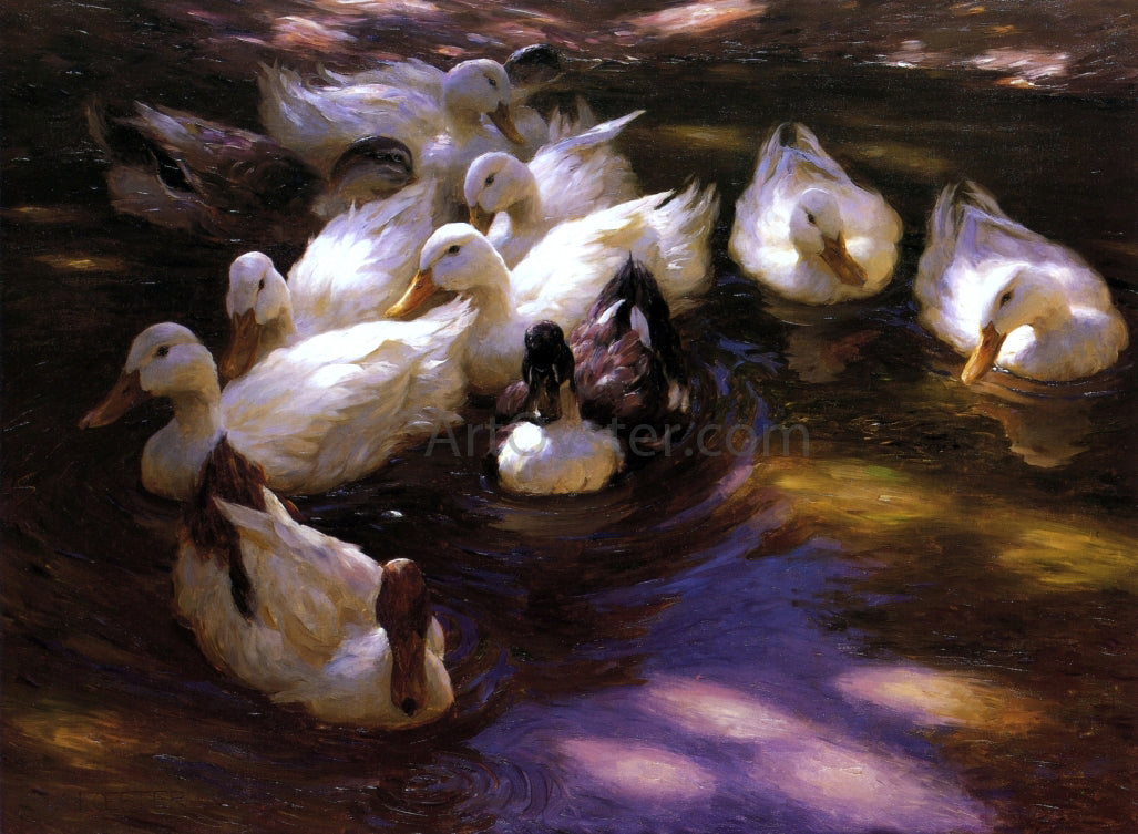 Alexander Koester Eleven Ducks in the Morning Sun Art Print ...