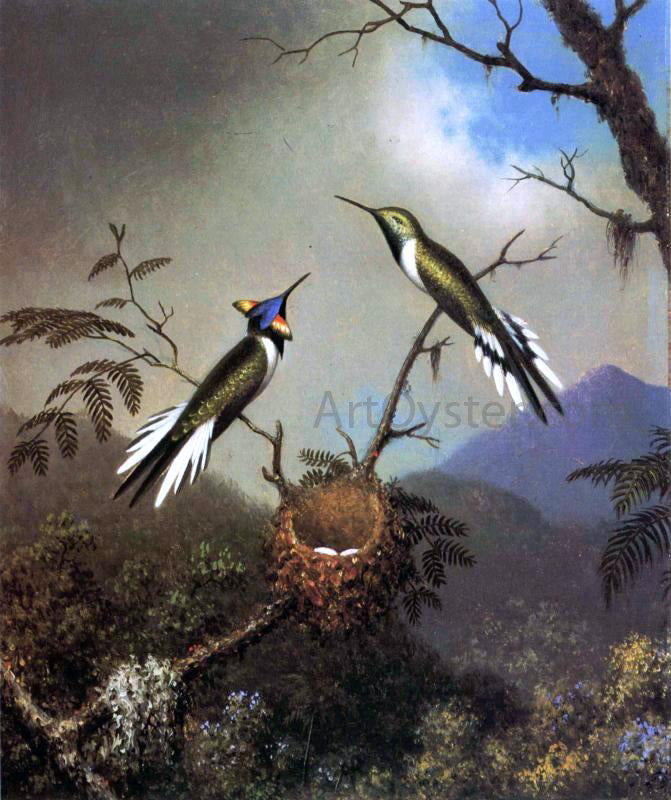 Martin Johnson Heade Hummingbirds at Their Nest - Sun Gems Art Print ...