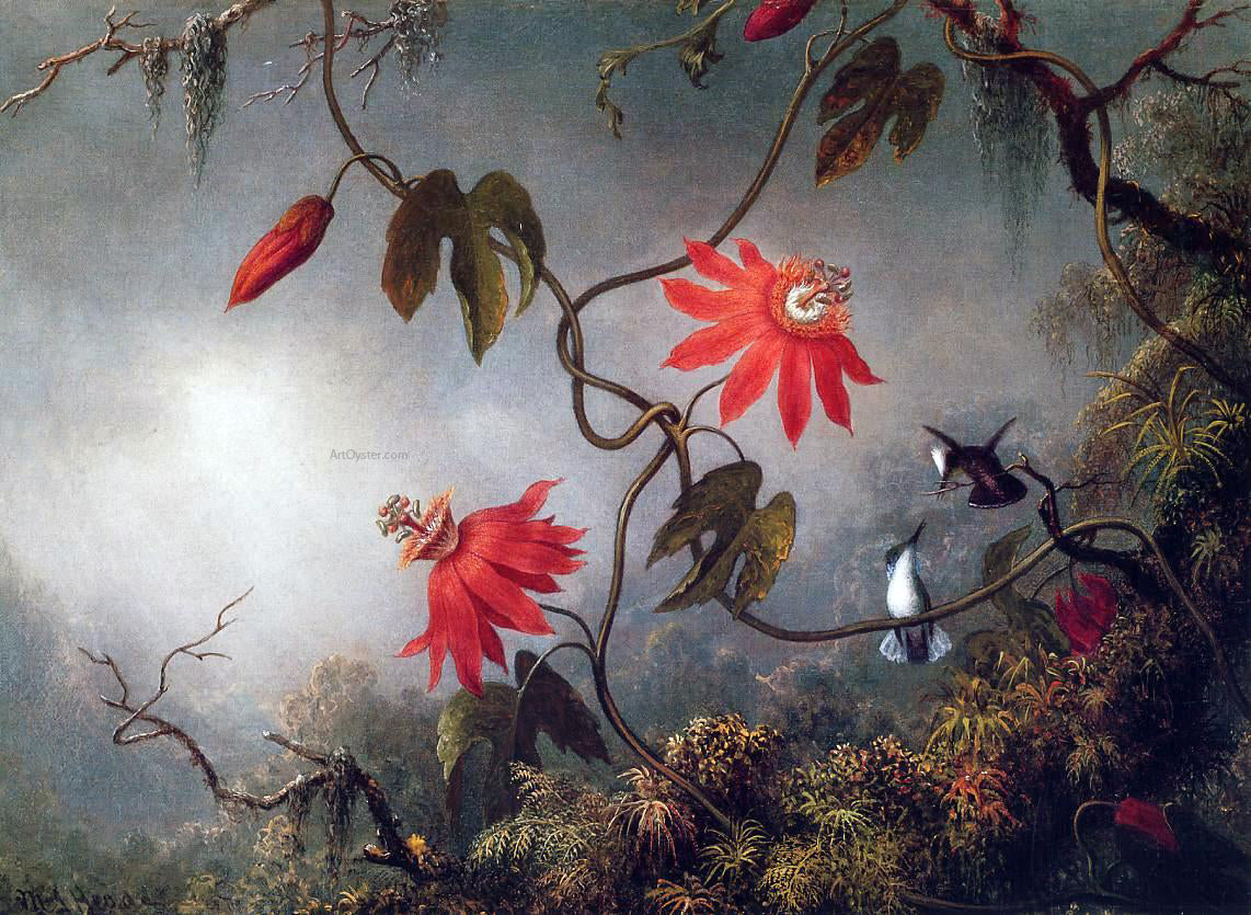 Martin Johnson Heade Passion Flowers and Hummingbirds Art Print ...