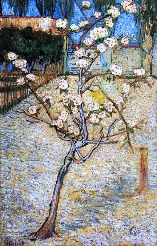 Vincent Van Gogh Pear Tree in Blossom Art Print – printoyster.com