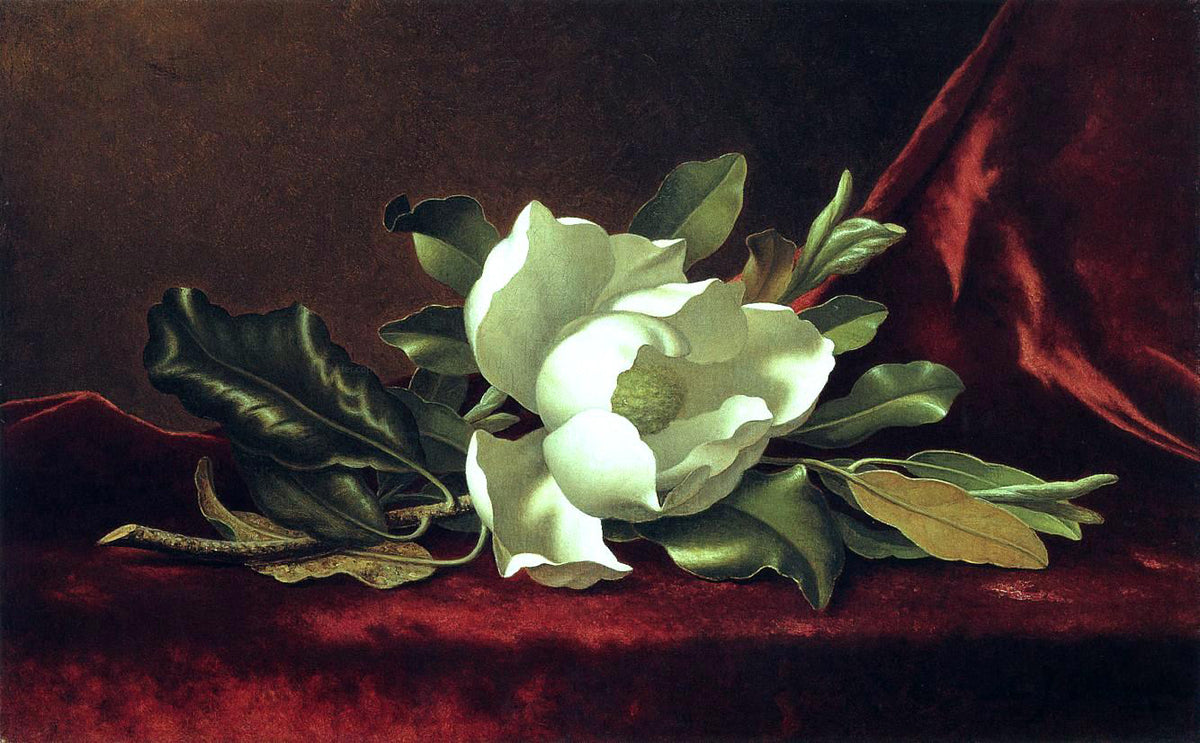 Martin Johnson Heade The Magnolia Blossom Art Print – printoyster.com