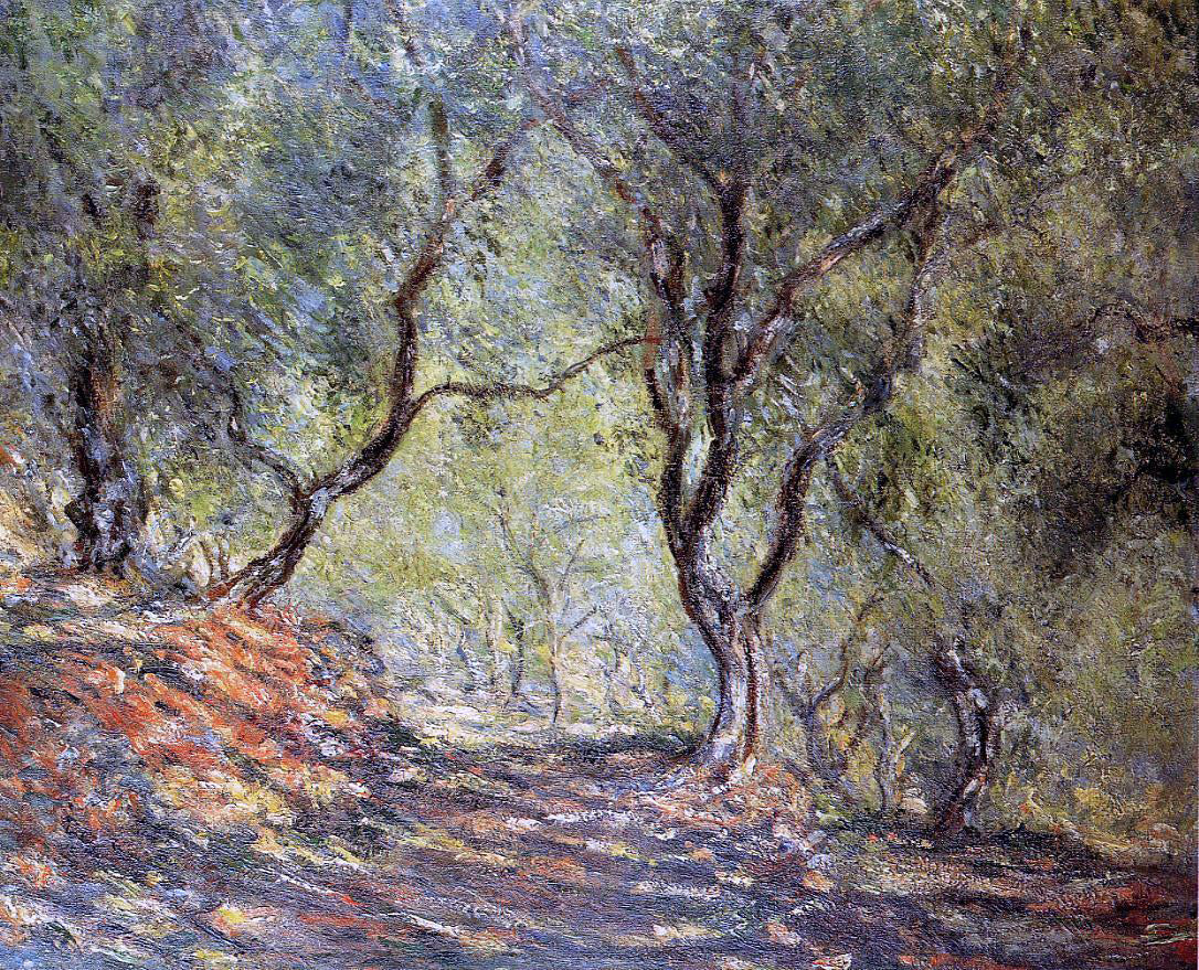 Claude Oscar Monet The Olive Tree Wood in the Moreno Garden Art Print ...